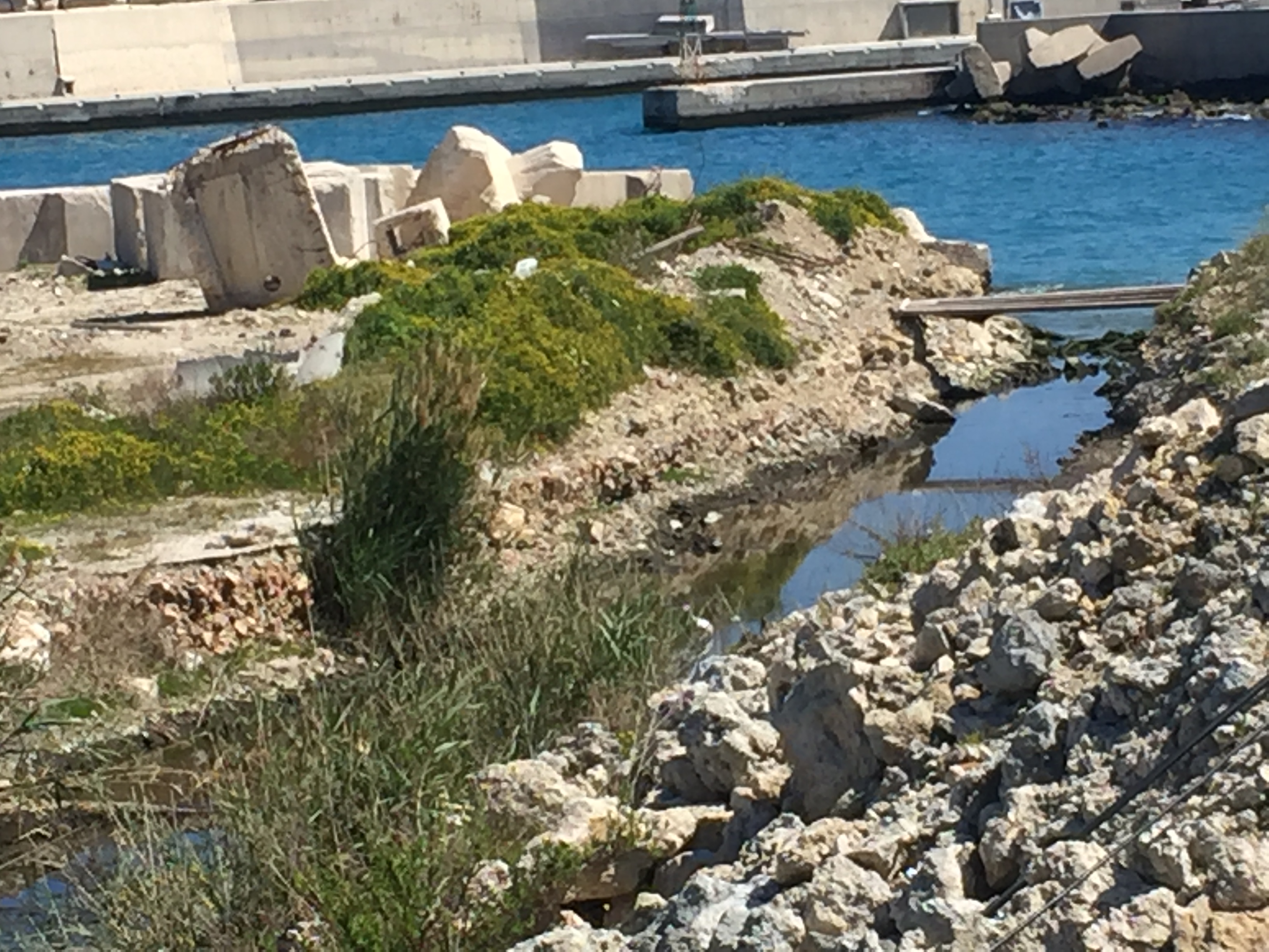 Εστίες μόλυνσης από όμβρια ύδατα στην περιοχή της Νέας Μαρίνας της ...